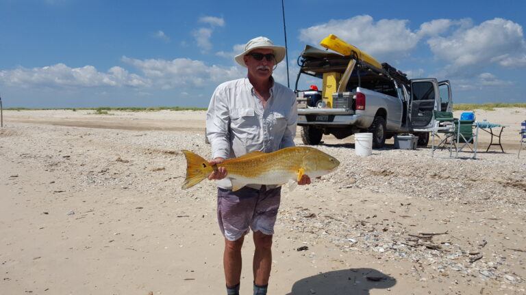 Bull Redfish from the Surf 2020 - Impressive and Powerful