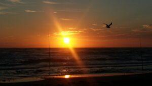 Surf Fishing Fabulous Follet's Island Texas 2020