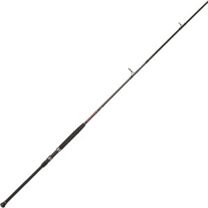 Surf Fishing Rods 6 of the best value