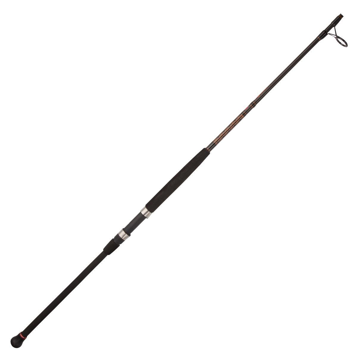 Surf Fishing Rods 6 of the best value