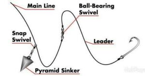 Basic Surf Fishing Equipment for Beginners - The Beach Angler