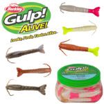 Pros And Cons Of Berkley Gulp Saltwater Lures 5 Advantages Over Live ...