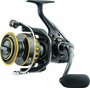 12 Best Surf Fishing Reels
