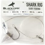 2 Best Surf Fishing Rigs