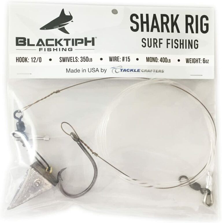 2 Best Surf Fishing Rigs