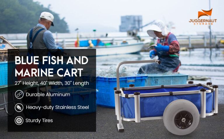 5 Best Beach and Surf Fishing Carts on a Budget - The Beach Angler