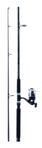 9 Best Rod And Reel Combos For Surf Fishing - The Beach Angler