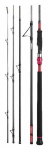 7 Best Surf Rods From Daiwa - The Beach Angler