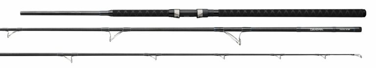 7 Best Surf Rods From Daiwa - The Beach Angler
