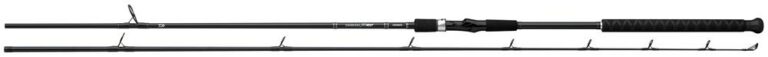 7 Best Surf Rods From Daiwa - The Beach Angler