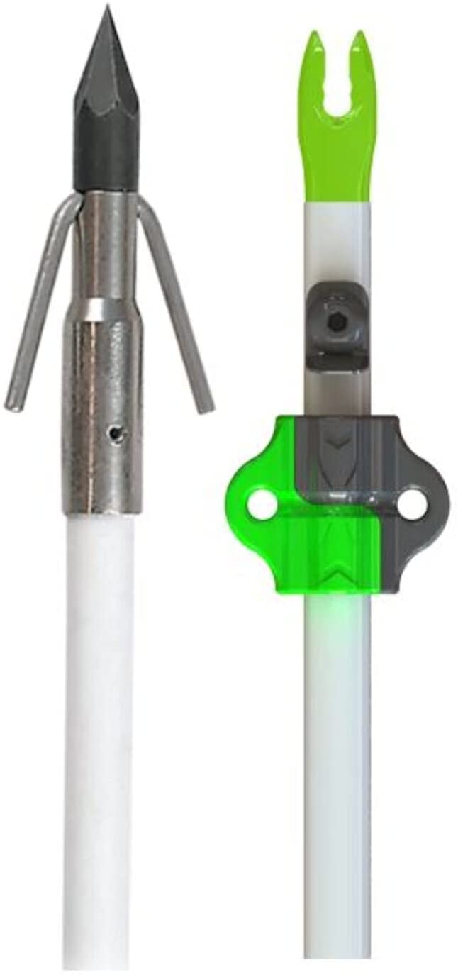 Bowfishing How to for Beginners - The 5 Essentials for Success - The ...