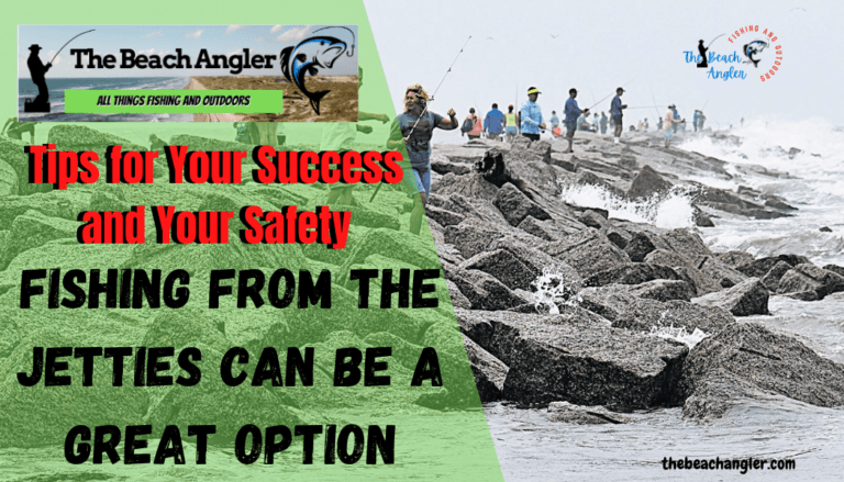 The Beach Angler Home Page - The Beach Angler
