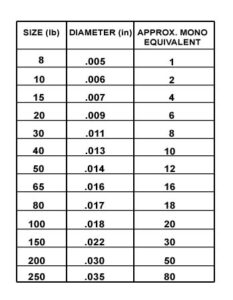 Best Fishing Line for Surf Fishing 3 Primary Options to Match Your ...