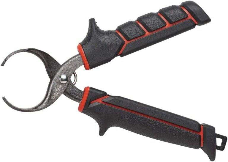 Gafftop Catfish Easy to Catch and Surprisingly Good to Eat - The Beach ...