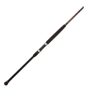 7 Best Surf Fishing Rods: Tips for Choosing the Best Surf Rod for Your ...