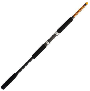 7 Best Surf Fishing Rods: Tips for Choosing the Best Surf Rod for Your ...