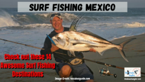 Surf Fishing in Mexico 14 Exciting Destinations for Serious Beach ...
