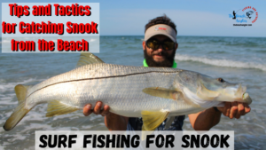 Surf Fishing for Snook: Tips Techiques and 18 Top Spots for The ...