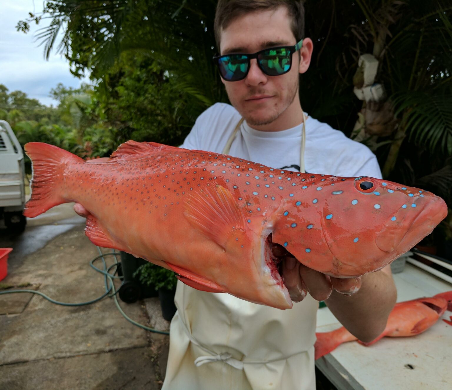 Saltwater Fishing Australia: The Ultimate Fishing Adventure Down Under ...