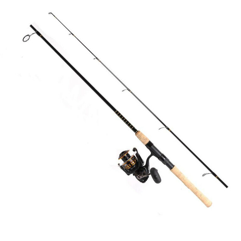 Saltwater Fishing Rod and Reel Combos: 5 Critical Factors to Choosing ...