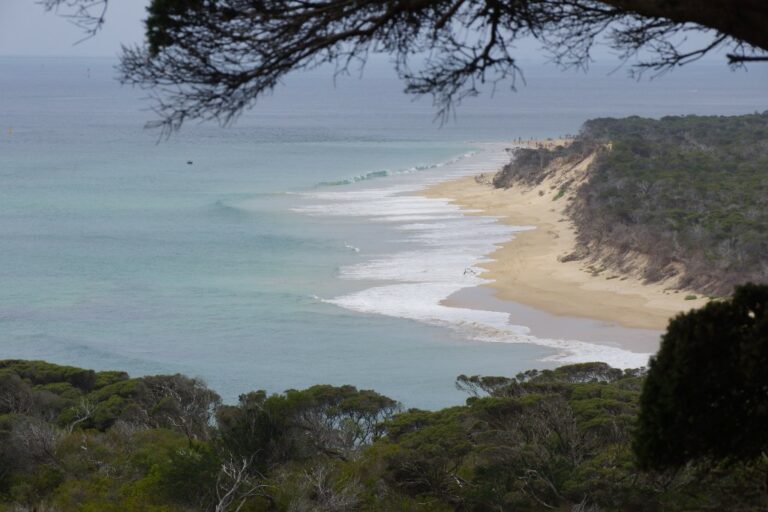 Saltwater Fishing Australia: The Ultimate Fishing Adventure Down Under ...