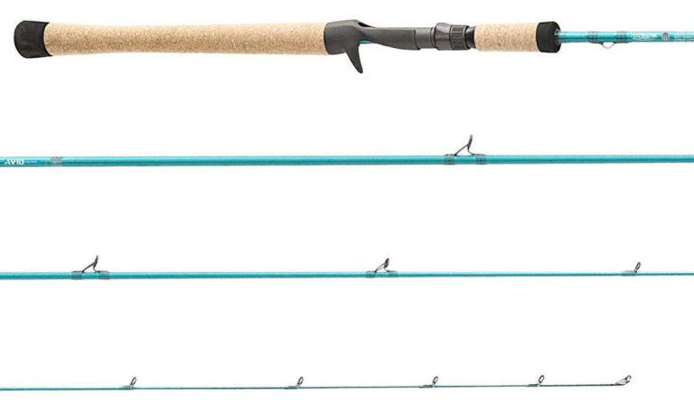 Casting Dreams: 7 Important Factors to Navigating the World of ...