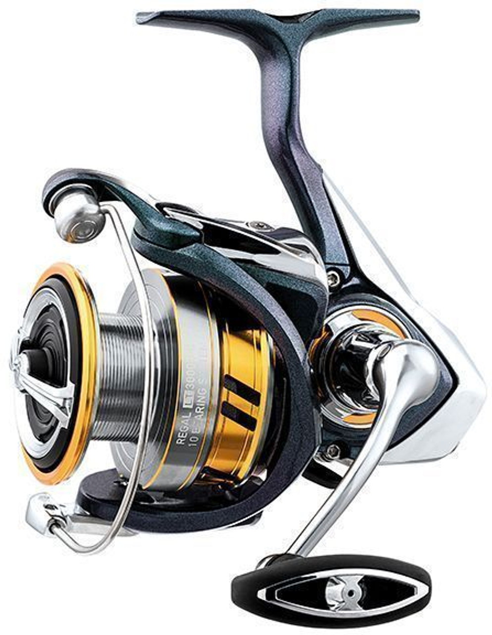 Saltwater Fishing Reels: 6 Tips for Choosing the Right Reel for You ...