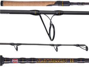 Casting Dreams: 7 Important Factors to Navigating the World of ...