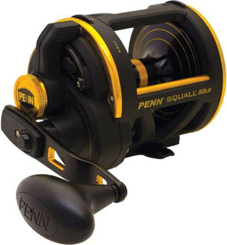 Saltwater Fishing Reels: 6 Tips for Choosing the Right Reel for You ...