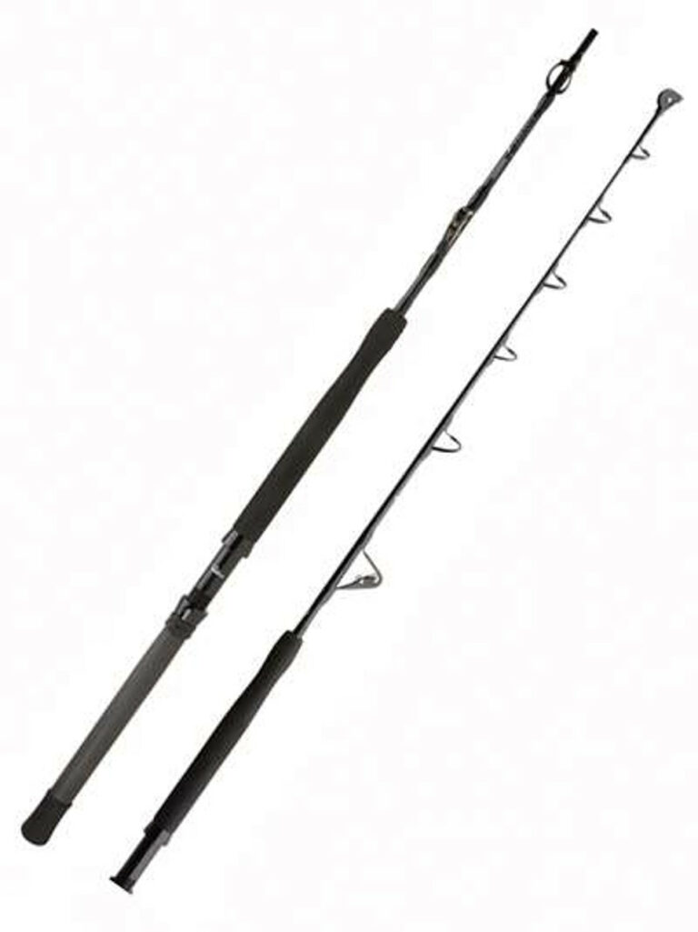 Casting Dreams: 7 Important Factors to Navigating the World of ...