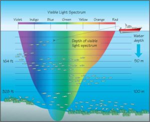 The Ultimate Guide to Saltwater Fishing Lures: 5 Tips to Choose and Use ...