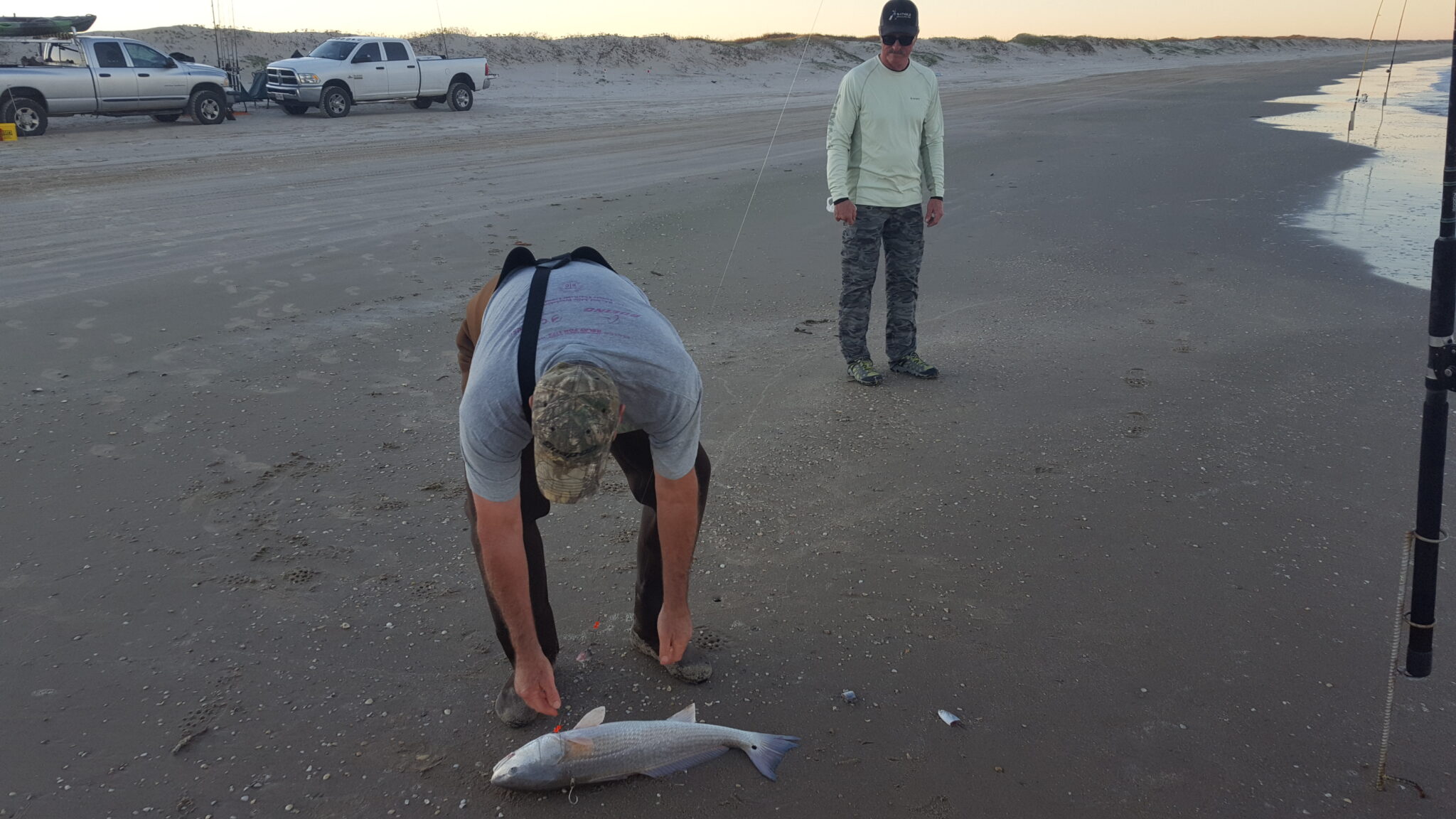 The Beach Angler Home Page - The Beach Angler