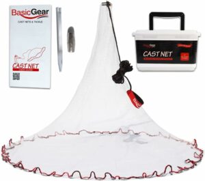 Advantages And Disadvantages Of Using Live Bait For Saltwater Fishing ...