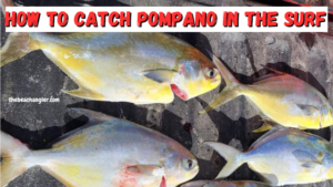 How To Catch Pompano in the Surf 7 Tips And Techniques For Targeting ...