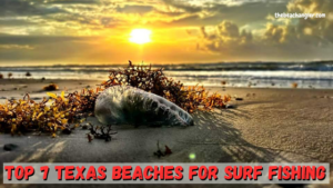 The 7 Top Beaches For Surf Fishing In Texas Your Guide To Exciting ...