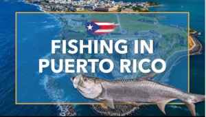 Cast Away In Paradise The Ultimate Guide To Fishing Puerto Rico In 2024 ...