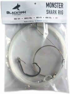 5 Proven Strategies For Land-Based Shark Fishing - The Beach Angler