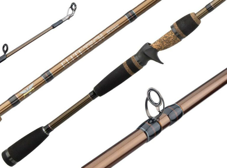 Fenwick Eagle And Elite Rods Review 2 High Performance Options - The ...