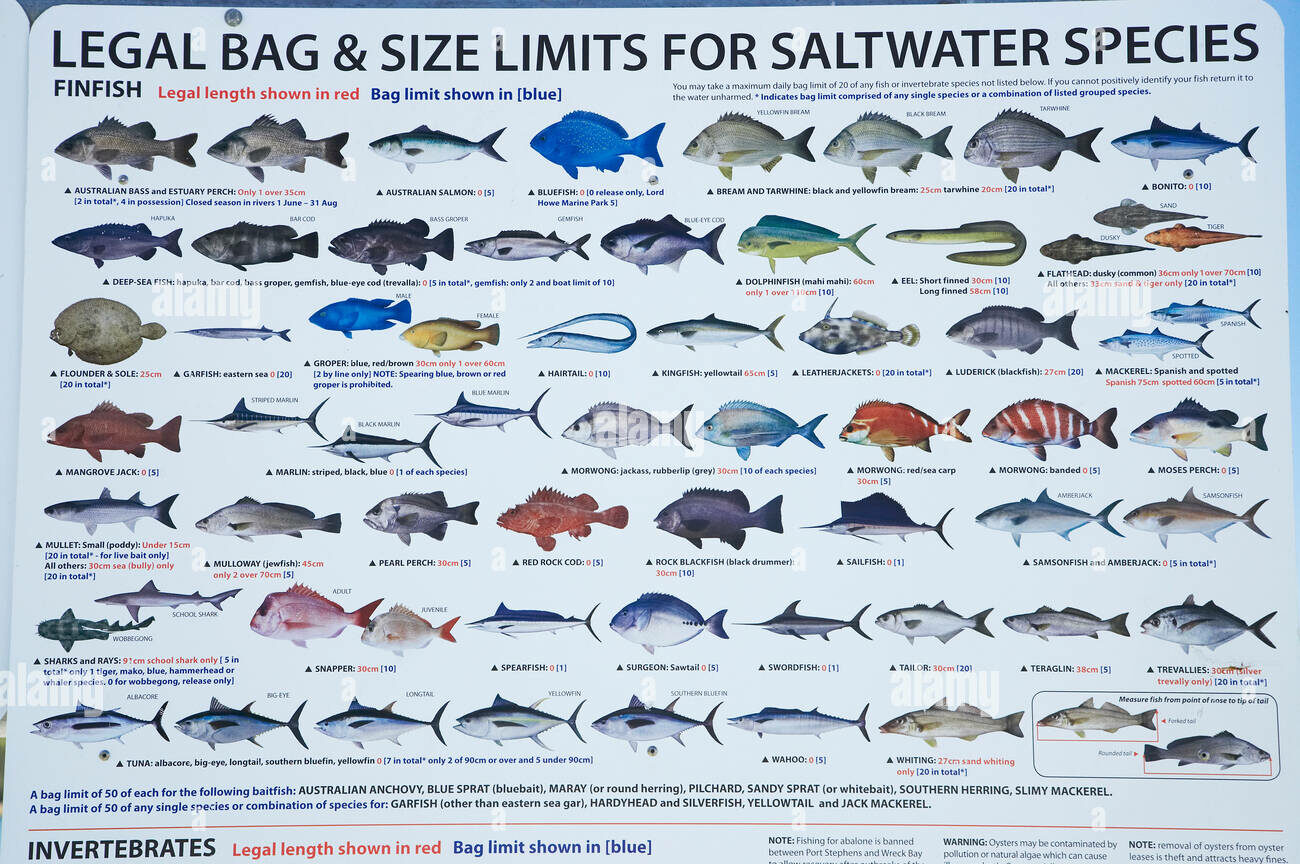 5 Of The Best Spots For Surf Fishing In Australia - The Beach Angler