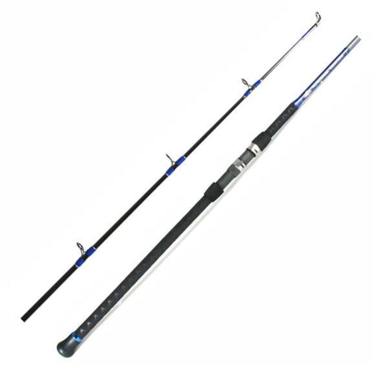 How To Choose The Right Surf Fishing Rod 4 Important Factors to ...