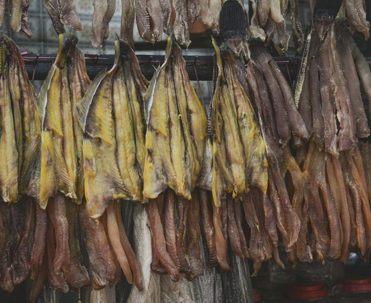 8 Fish Smoking Techniques For Flavorful Saltwater Fish - The Beach Angler