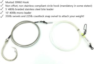 The 4 Best Shark Rigs For Surf Fishing - The Beach Angler