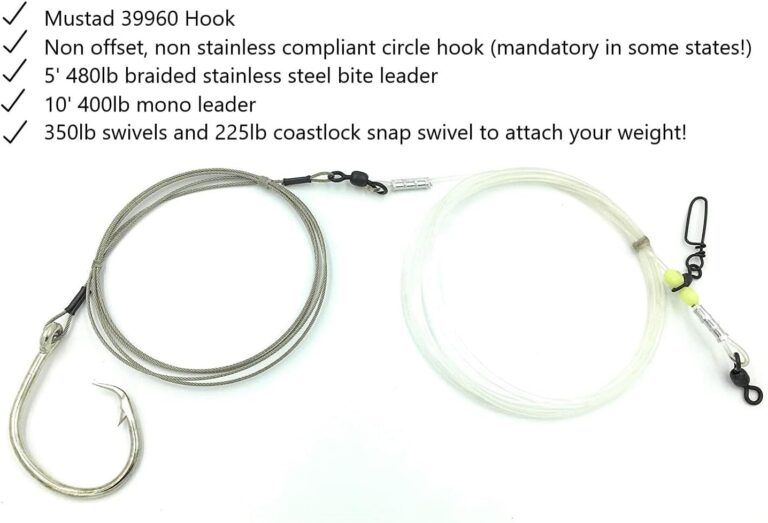 The 4 Best Shark Rigs For Surf Fishing - The Beach Angler