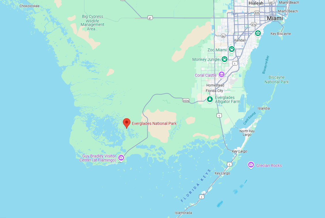 Fishing The Florida Everglades - The Beach Angler