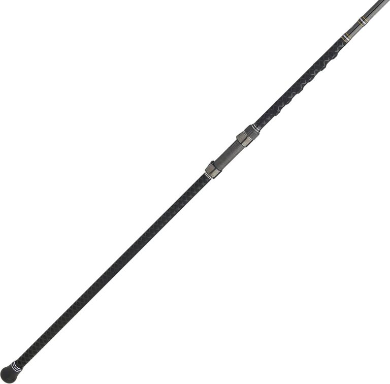 4 Penn Surf Rods with an In-depth Model Comparison Review - The Beach ...