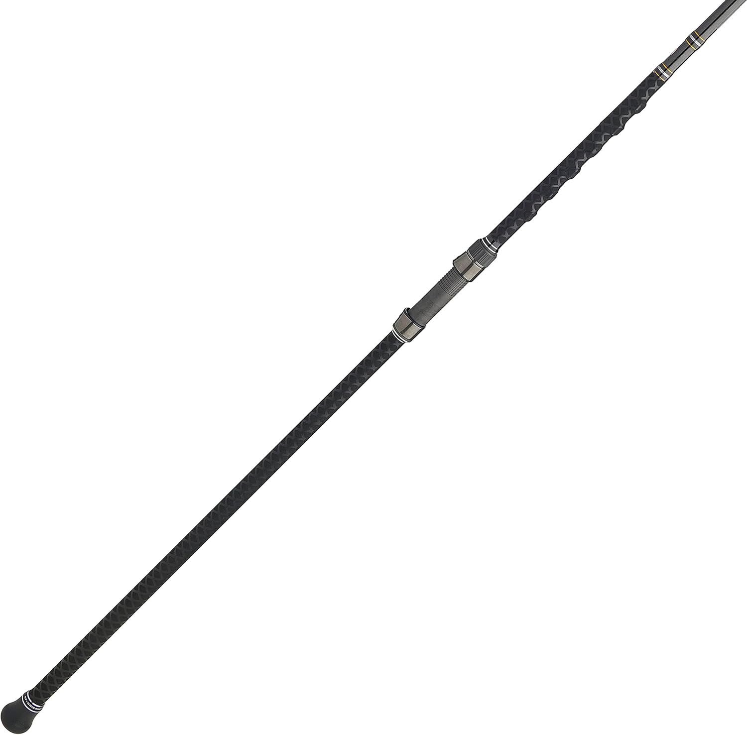 4 Penn Surf Rods with an In-depth Model Comparison Review - The Beach ...