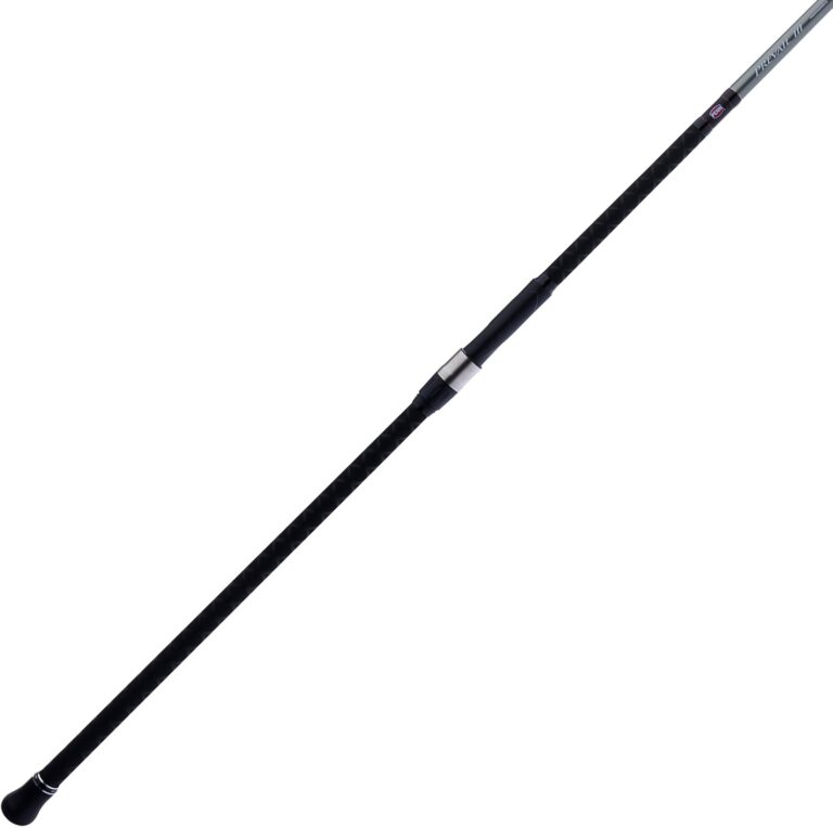 4 Penn Surf Rods with an In-depth Model Comparison Review - The Beach ...