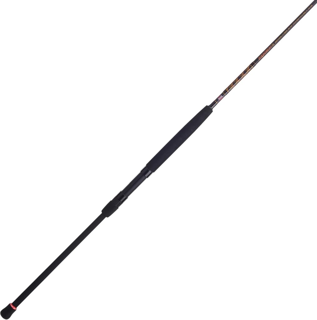 4 Penn Surf Rods with an In-depth Model Comparison Review - The Beach ...