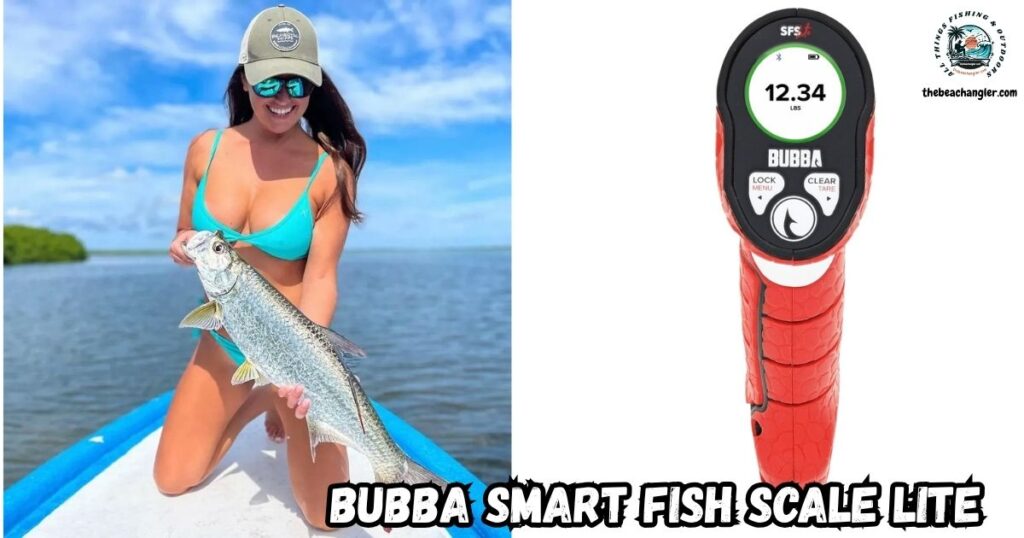 Essential Baits And Lures For Inshore Saltwater Fishing - The Beach Angler