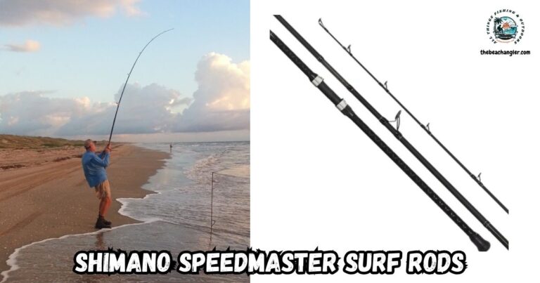 The 4 Best Shark Rigs For Surf Fishing - The Beach Angler